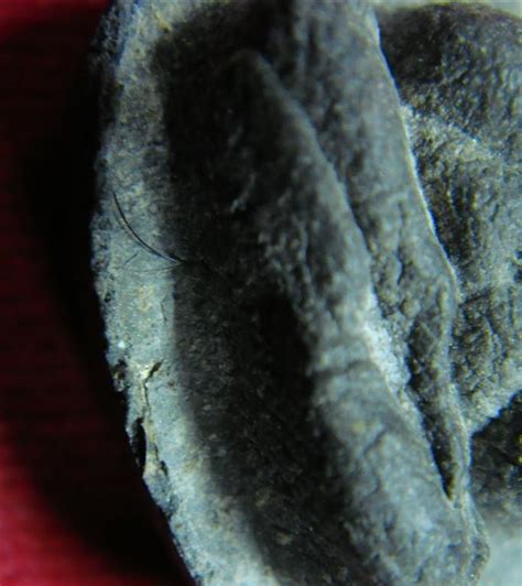 ปิดตาปลดหนี้หลวงปู่โต๊ะ หลังยันต์ตรี พระเครื่อง พระแท้ Webpra เว็บ พระ คอม