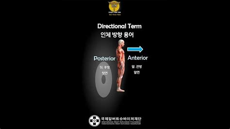 해부학 용어 🫁해부학 자세 • 방향 요약 1분 톡톡 해부학 용어 Youtube