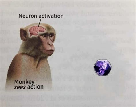 Monkey Time Scrolller