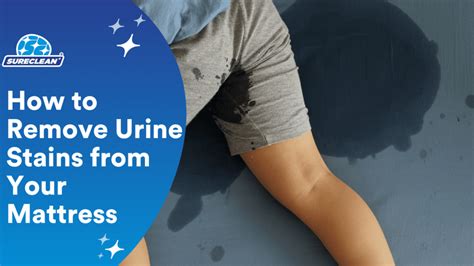 How to Remove Urine Stains from Your Mattress - SC