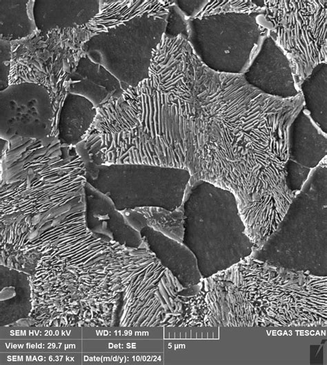 Pearlite And Ferrite Microstructure 🔬🔬 Bahar Vahid