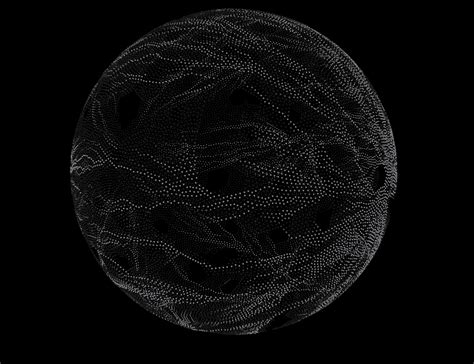 Vein Growth Simulation Behance