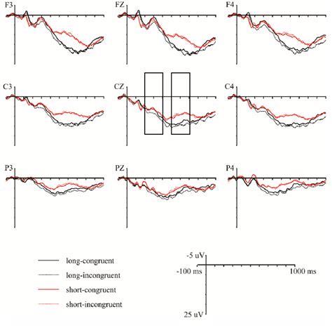 Figure 1 From Semantic Activation In Badminton Action Processing And Its Modulation By Action