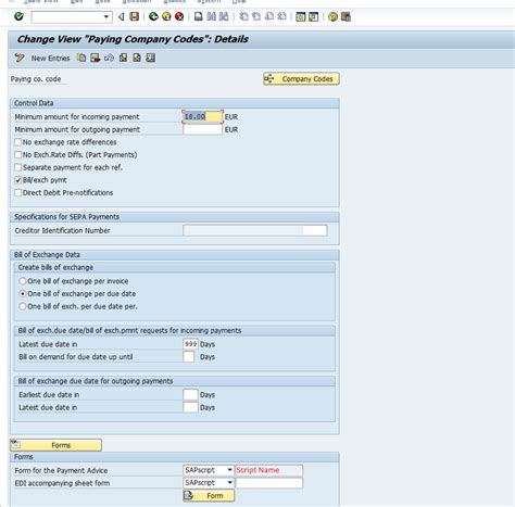 Payment Advice Configuration And Activation For Di Sap Community