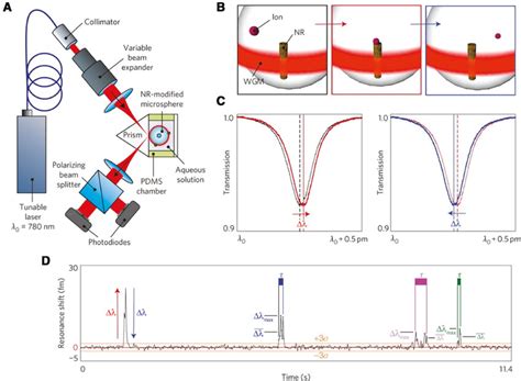 Wgm Sensing Technique For Single Ion Detection A Experimental