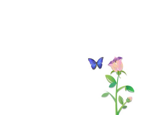 Save The Butterfly Sam Zhao
