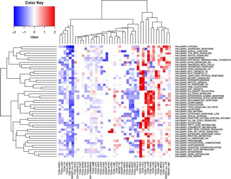 gene sets based survival analysis hierarchical clustering of broad