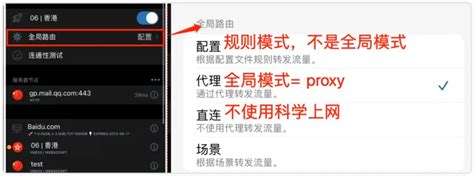 wallless vpn 最佳性价比与详细配置指南 小熊猫独立站
