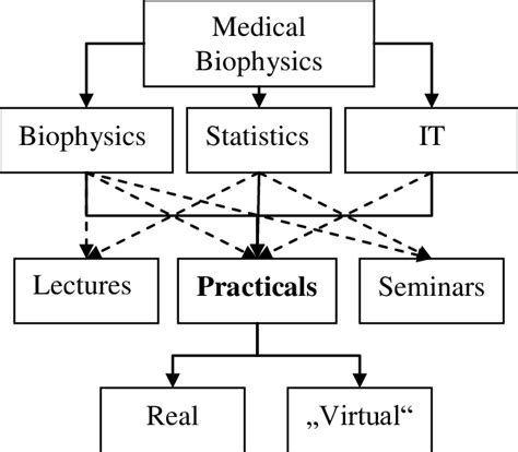 The Basic Scheme Of The Course Of Medical Biophysics Download