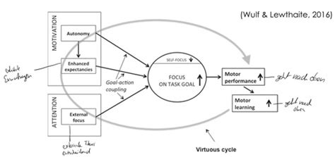 4 Seminar Optimal Theory Of Motor Learning Karteikarten Quizlet
