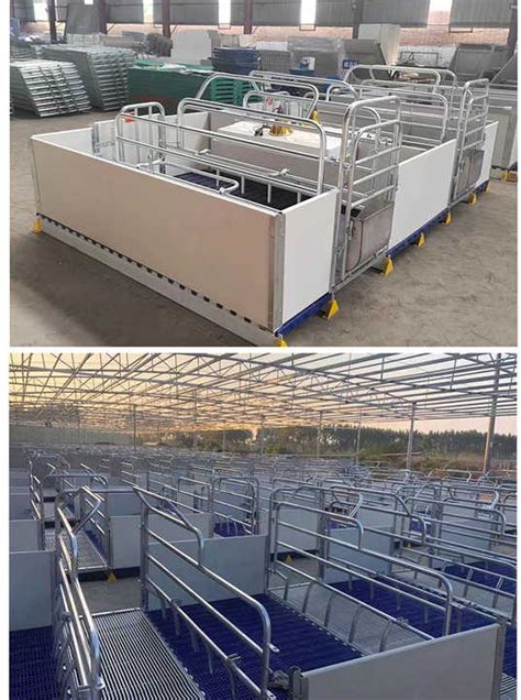 Eliable Sow Farrowing Cage For Large Farms Customizable And Durable