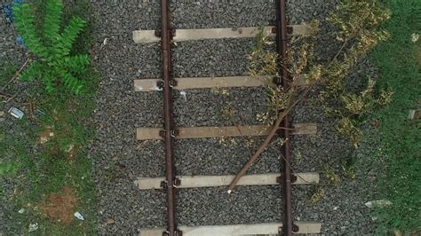 Dataset For Detection Object Detection Dataset By Sopproject