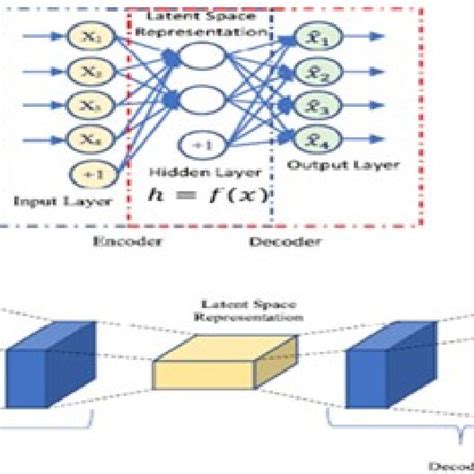 autoencoder architectures with vector download scientific diagram