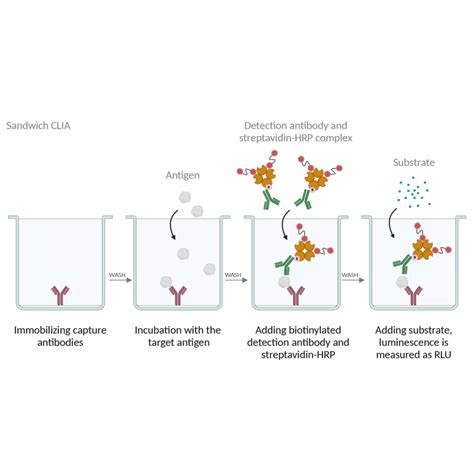 Clia Service With Fast Turnaround Time Icosagen