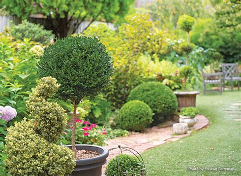 Topiary Basics With Linda Vater Garden Gate
