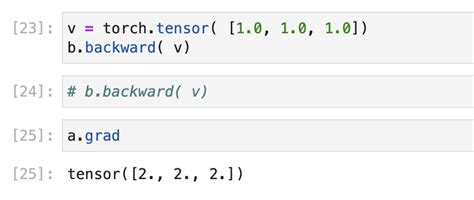 pytorch gradient runtimeerror part 1 2022 fast ai course forums