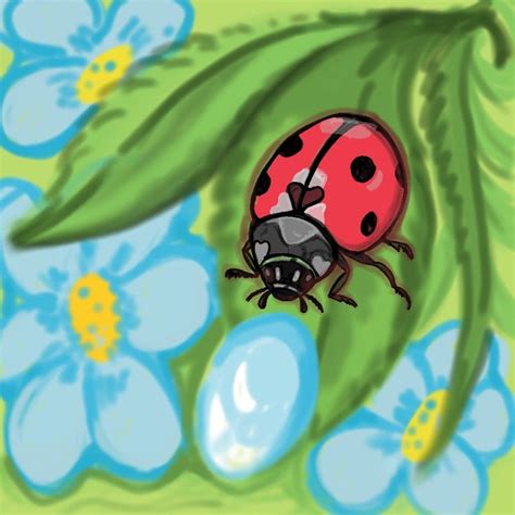 Божья коровка Насекомые Божьи коровки Рисунок Рисунки