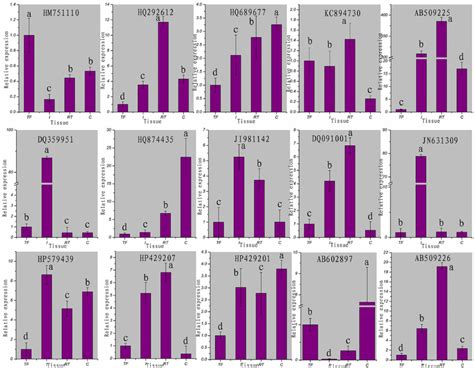 quantitative realtime pcr analysis of the expression of 15 selected
