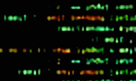 Online Course Create Your First Python Program From Ust From Coursera