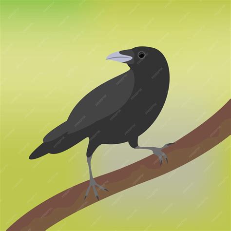 Premium Vector Crow Flat Premium Vector Illustration