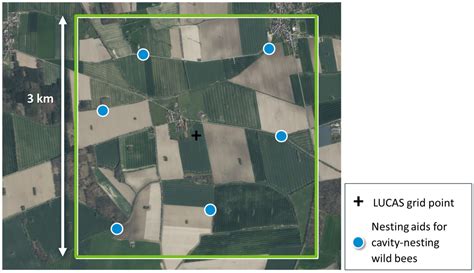 Six Steps towards a Spatial Design for Large-Scale Pollinator Surveillance Monitoring
