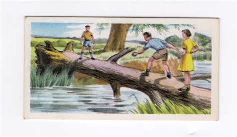 Types Of Bridge Card 1959 Fallen Tree Bridge 499 Picclick Au