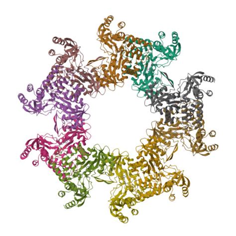 Rcsb Pdb 8uzw Selenocysteine Synthase Sela