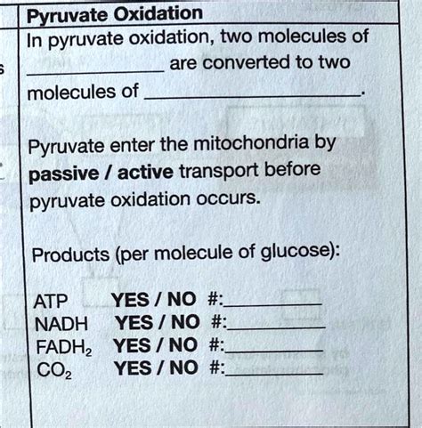 Pyruvate Oxidation In Pyruvate Oxidation Two Molecules Of Are Converted To Two Molecules Of