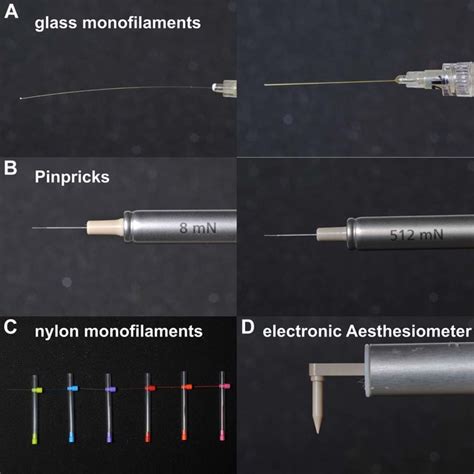Devices For Quantitative Sensory Testing Qst A Dfns Standard Glass