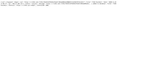 privatebin yourls integration api call to yourls not completing as