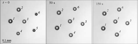 Evolution Of Droplet Cluster During The Long Term Infrared Irradiation