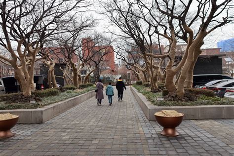 R 7 성수동 카페골목 캐논 Talk