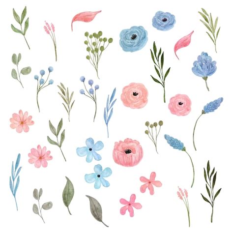 핑크와 블루 수채화 꽃 컬렉션 프리미엄 벡터