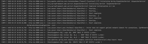 Custom Hintshardingalgorithm Initialize More Then Once When Project