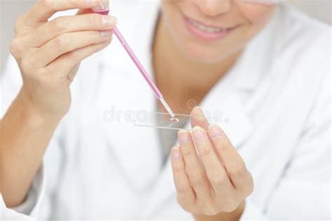Female During Microbiological Test Stock Image Image Of Female