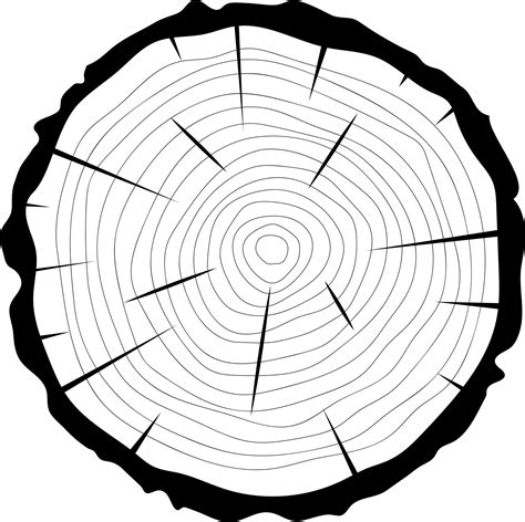 Cross Section Of Wooden Tree Clipart Design Illustration 9381260 PNG
