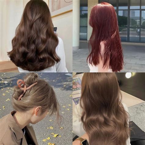 브라운 염색색상표 정리 레드브라운 애쉬브라운 베이지브라운 로즈브라운 다크브라운 네이버 블로그