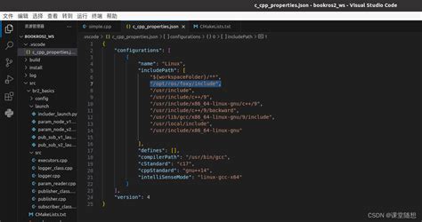 Vscode 报错include “rclcpprclcpphpp“rclcpphpp 路径 Csdn博客