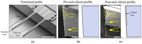 Overview Of 3d Extrapolation Method Based On Sem Images A A Functional
