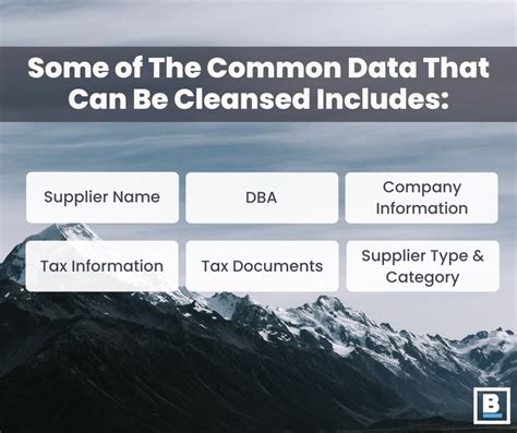 Data Cleansing Best Practices MyBedrock