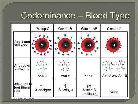 Genetics Lifes Blueprint Monogenic Traits Aka Simple Inheritance