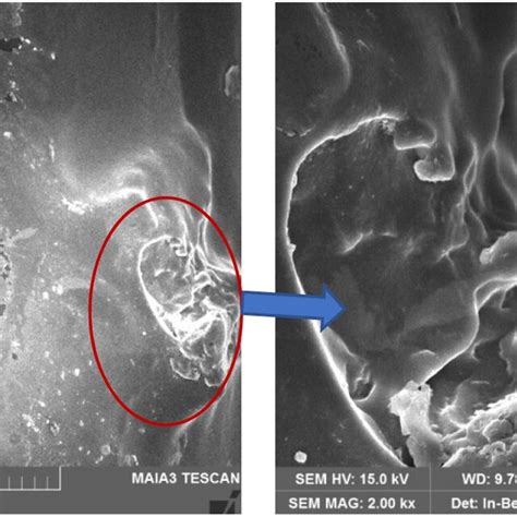 Tga Curves For Pa6mwcntcb Nanocomposite Filaments Download