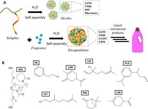 Scheme 1 A Graphical Representation Of The Design And Strategy Of