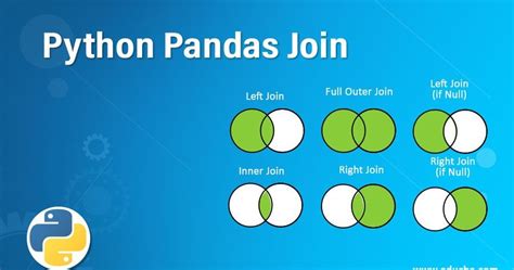 Finished Python Data Analysis Module On Datacamp Tayyab Shakoor