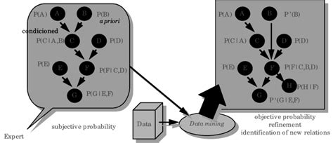 Discovery Of Probabilistic Networks Download Scientific Diagram