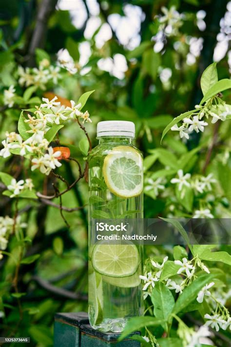 레몬 조각과 라임 조각이 있는 물 한 병이 꽃이 피는 나무 근처 의 게시물에 서 있습니다 0명에 대한 스톡 사진 및 기타 이미지 0명 가득 찬 광물질 Istock