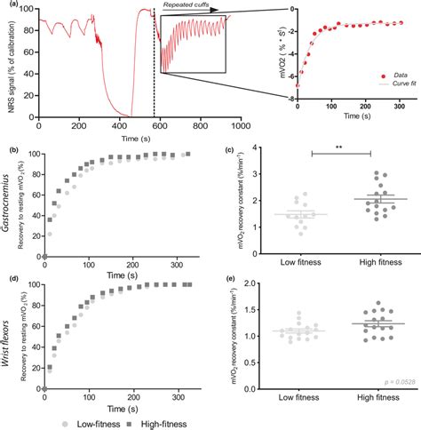 Representative Plot Of Nirs Protocol Red Line Represents Nirs Signal