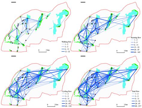 Flow Networks Under Different Exercise Types Download Scientific Diagram
