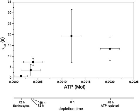 Dependence Of The Rotational Relaxation Time S 12 Of Red Cells On The