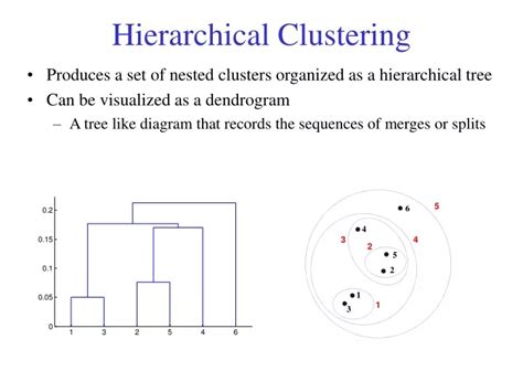ppt hierarchical clustering algorithms powerpoint presentation free